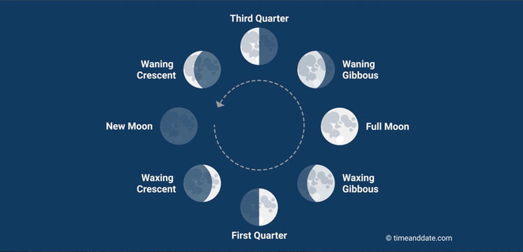 First Quarter Moon/Half Moon | Lantern Moon